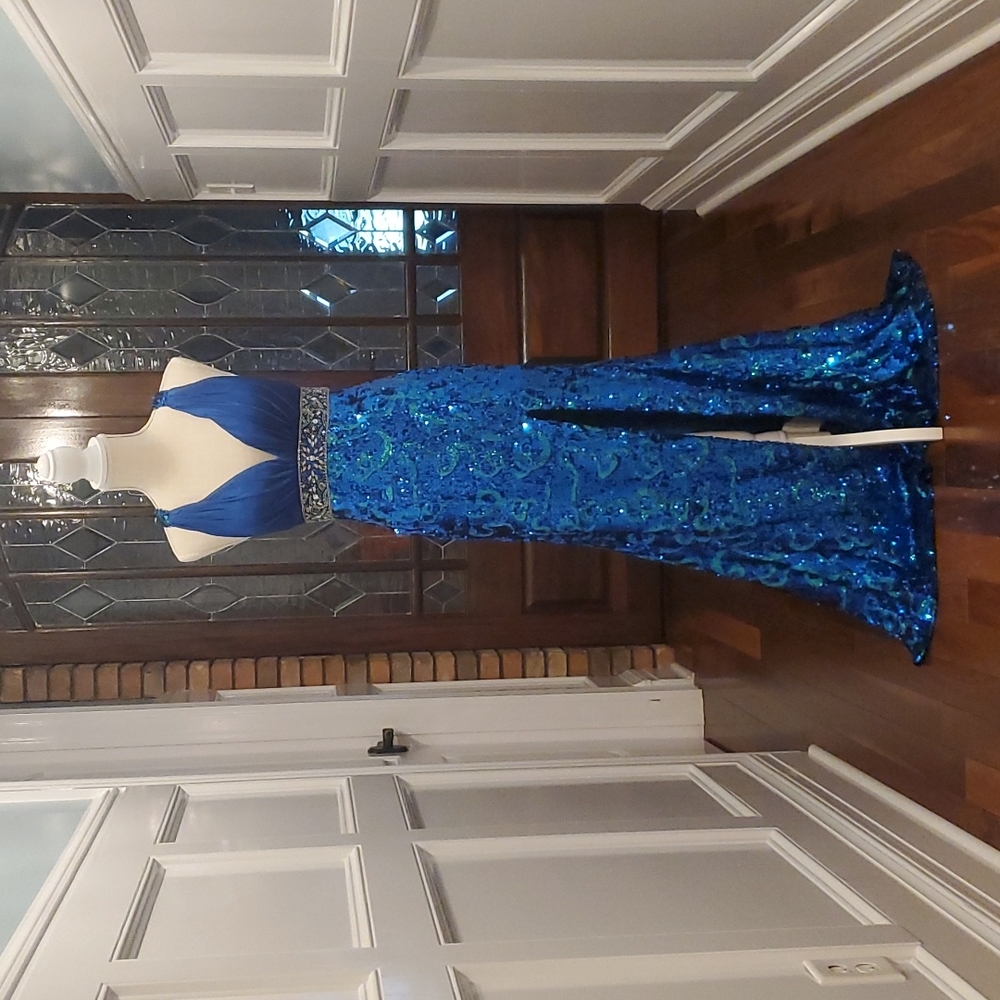 Formal Dress ,Prom, Pageant, Galaxy, Mardi Gras - Gem